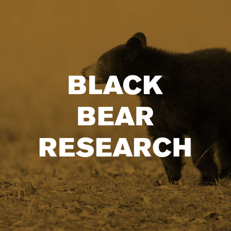 Foundation for Mississippi Wildlife, Fisheries, Parks & Marine | MWFPM ...
